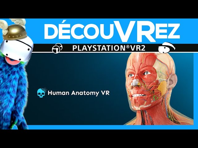 DécouVRez : HUMAN ANATOMY VR sur PS VR2 | Une application pour étudier ...
