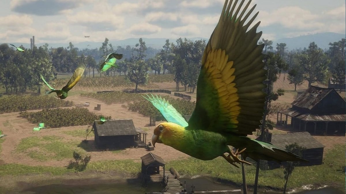 Conure de Caroline Red Dead Redemption 2 : Où trouver les 25 perruches
