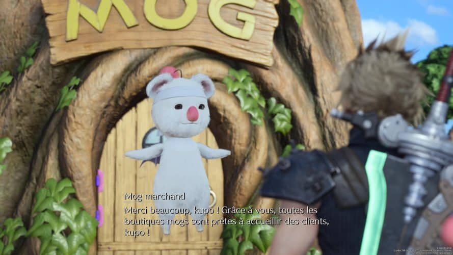 Toutes les maisons Mog à trouver et les objets de la boutique Mog ...
