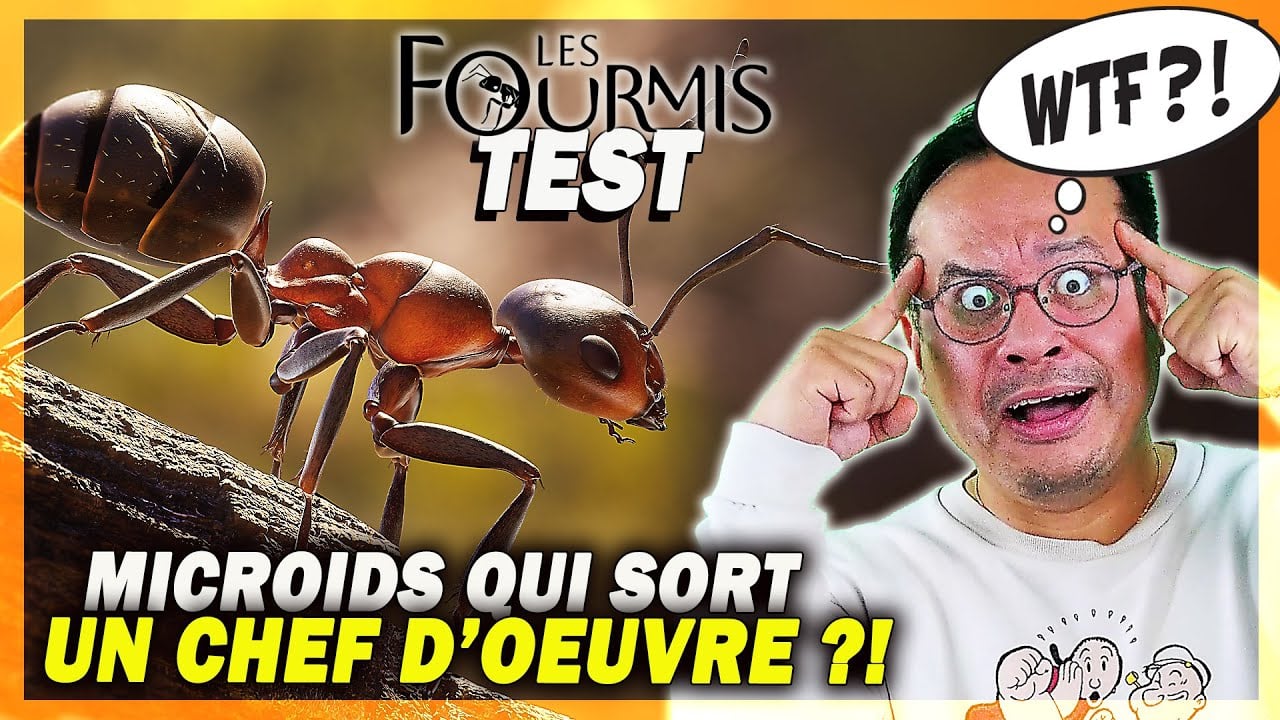 J'ai fini Les Fourmis : l'un des plus beaux et surprenants jeux de l ...