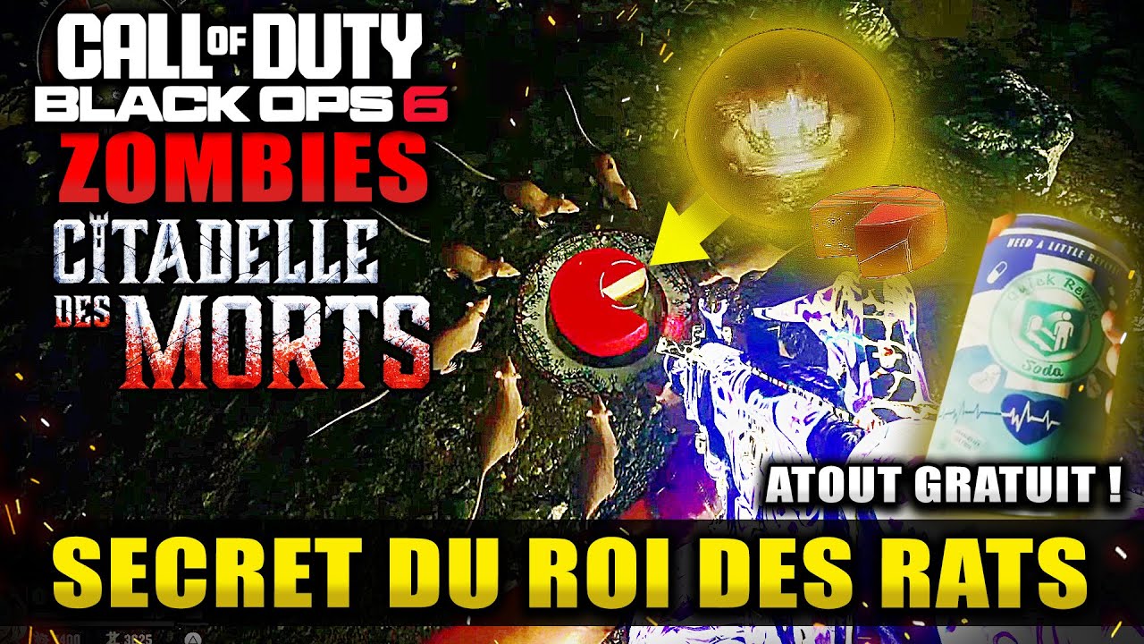 Call Of Duty BO6 Zombies - Citadelle des Morts : Faire Le SECRET du ROI ...