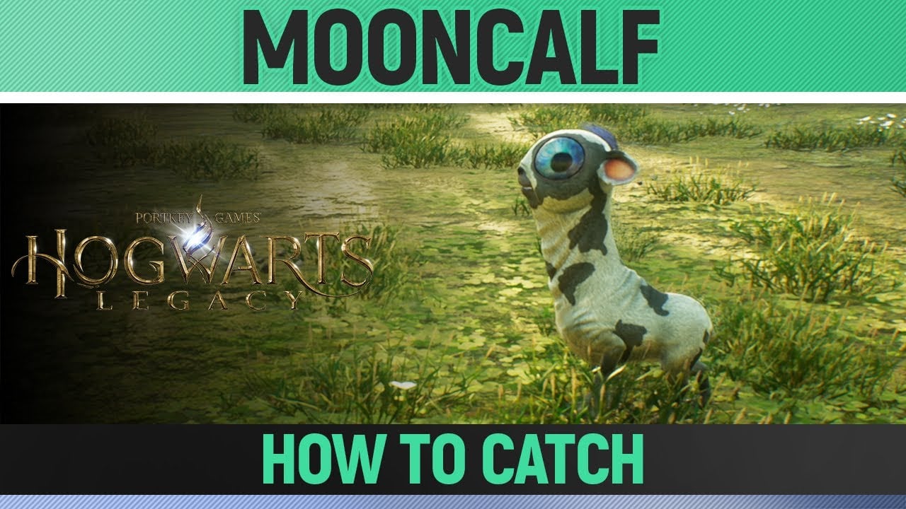 Hogwarts Legacy - Mooncalf Location - How to Catch